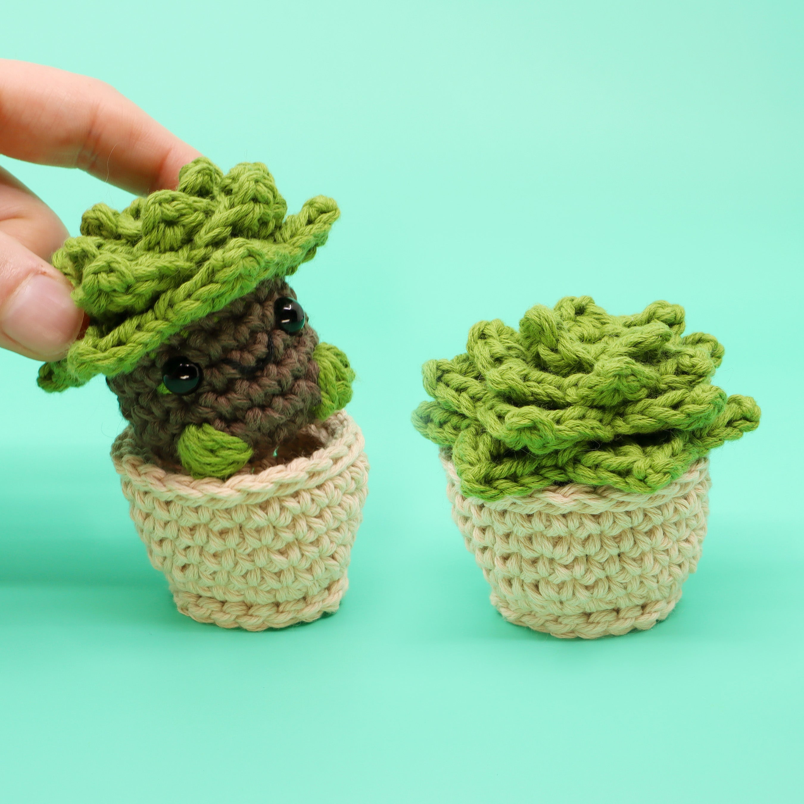 Photosynthesis Plants and Nature Crochet Pattern Bundle - 8 Beginner t ...